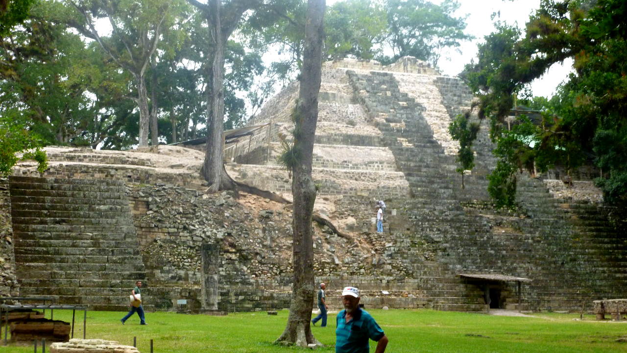 Copan 2011 | With Ease